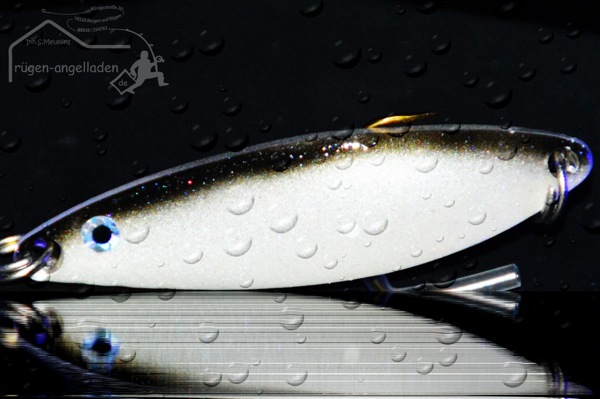 Meerforellen Hornhecht Blinker - Köder - Anglertreff Rügen